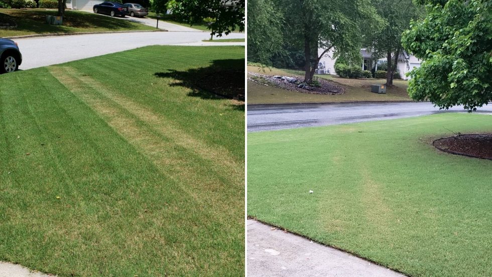 How To Avoid Mower Damage | All Turf Lawn Care