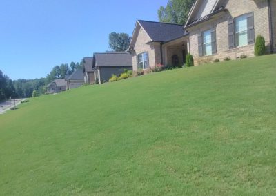 Our Work • All Turf Lawn Care