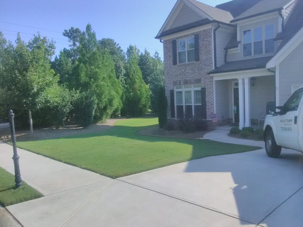 Stunning Lawn Care Results | All Turf Lawn Care Gallery
