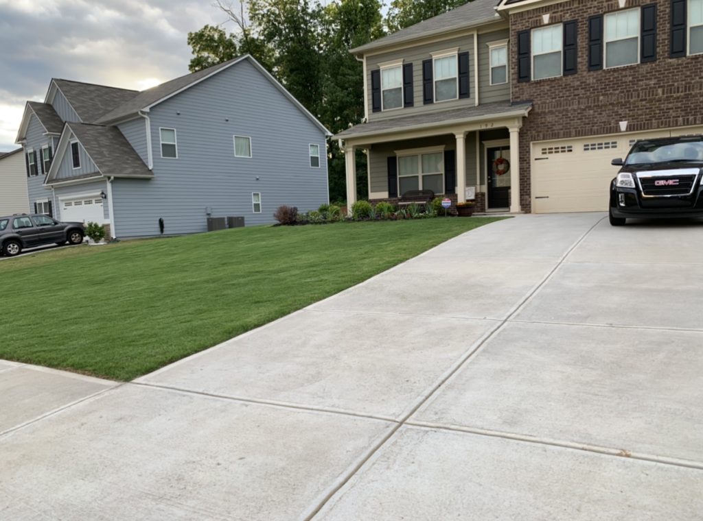 Stunning Lawn Care Results | All Turf Lawn Care Gallery