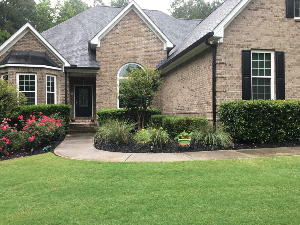 Stunning Lawn Care Results | All Turf Lawn Care Gallery