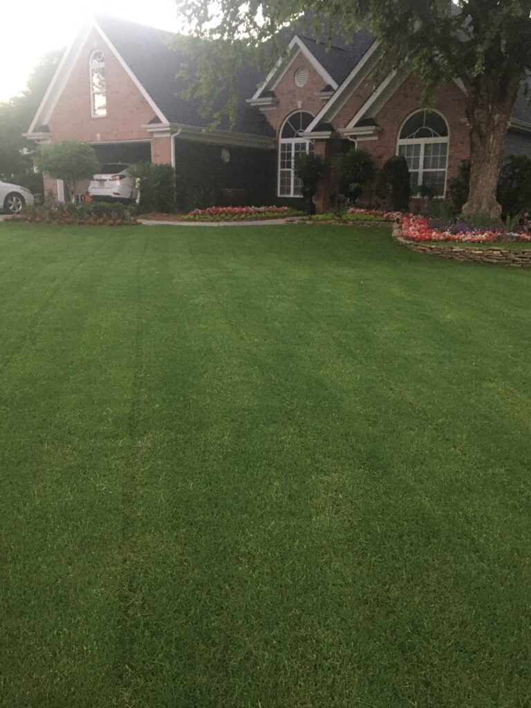 Stunning Lawn Care Results | All Turf Lawn Care Gallery
