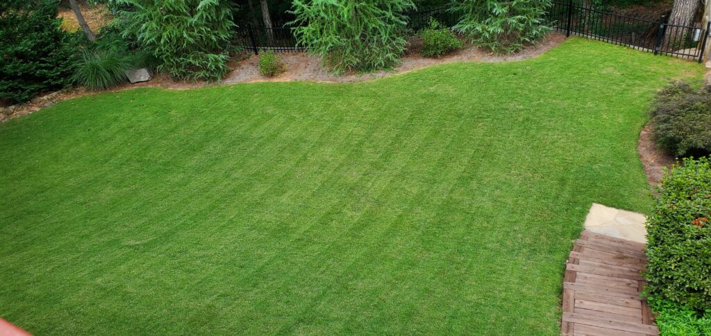 Stunning Lawn Care Results | All Turf Lawn Care Gallery