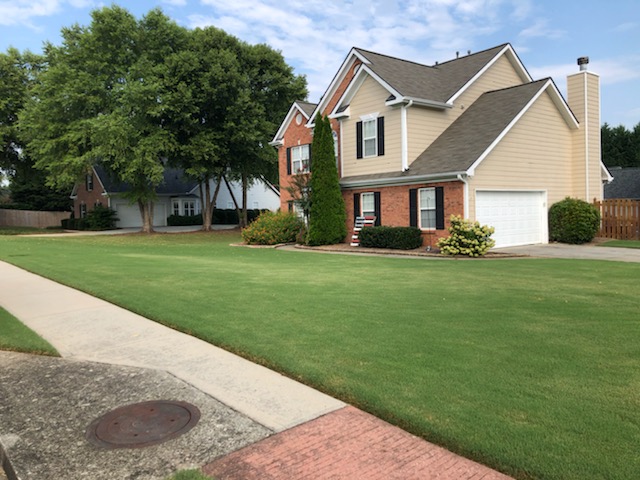 Stunning Lawn Care Results | All Turf Lawn Care Gallery
