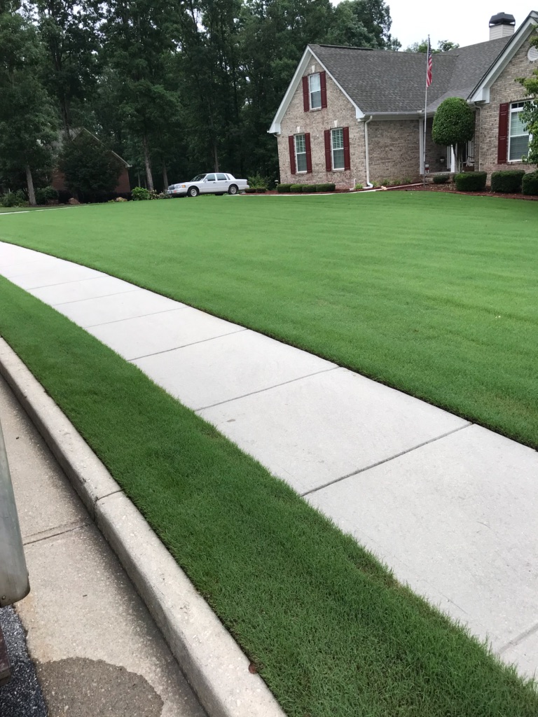 Stunning Lawn Care Results | All Turf Lawn Care Gallery