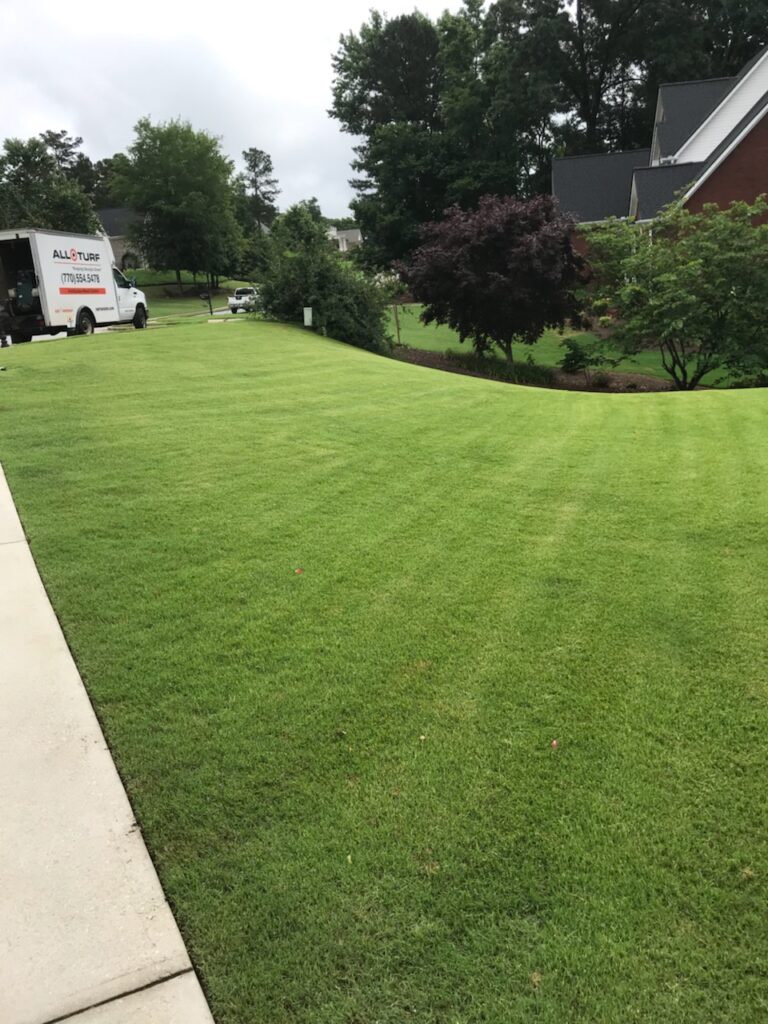 Stunning Lawn Care Results | All Turf Lawn Care Gallery