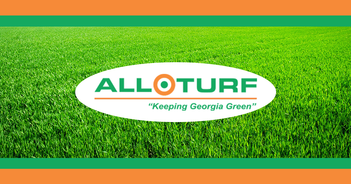 All Turf Lawn Care: Your Path to a Healthy Lawn Today
